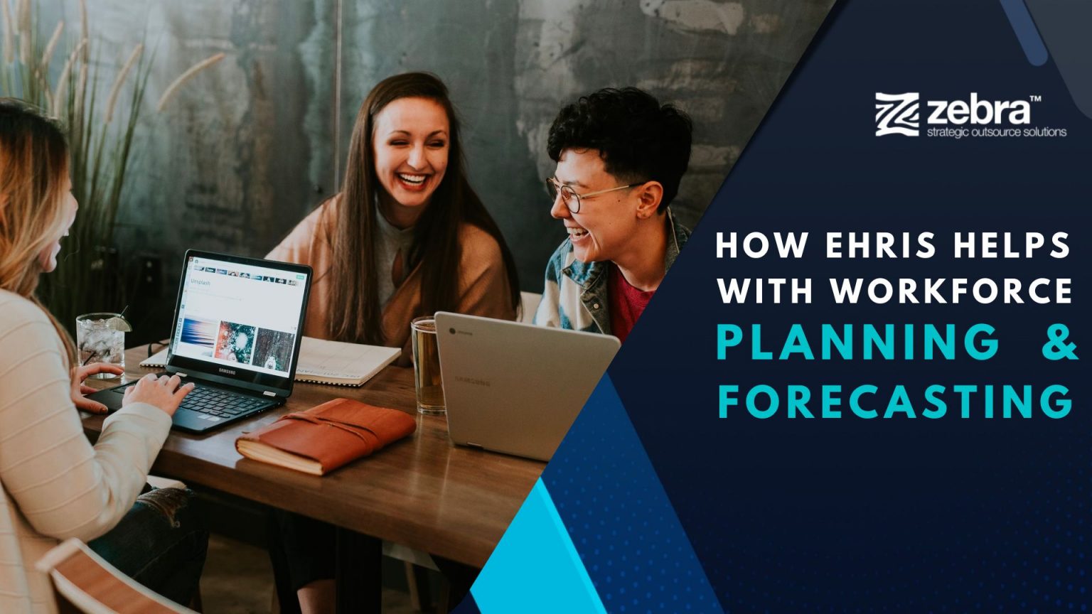 Home [www.zebragroup.com]